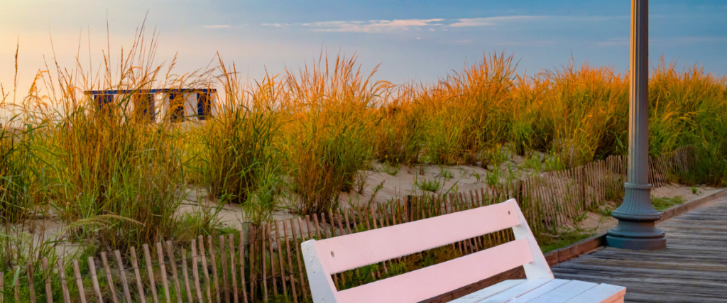 Rehoboth & Lewes Beach, DE - Discovery Map