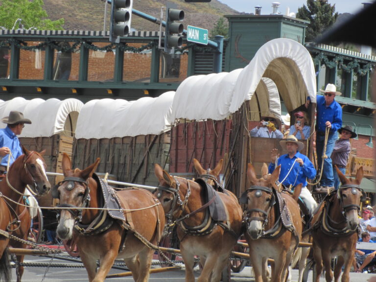 Historic Sun Valley, Ketchum and Hailey - Discovery Map