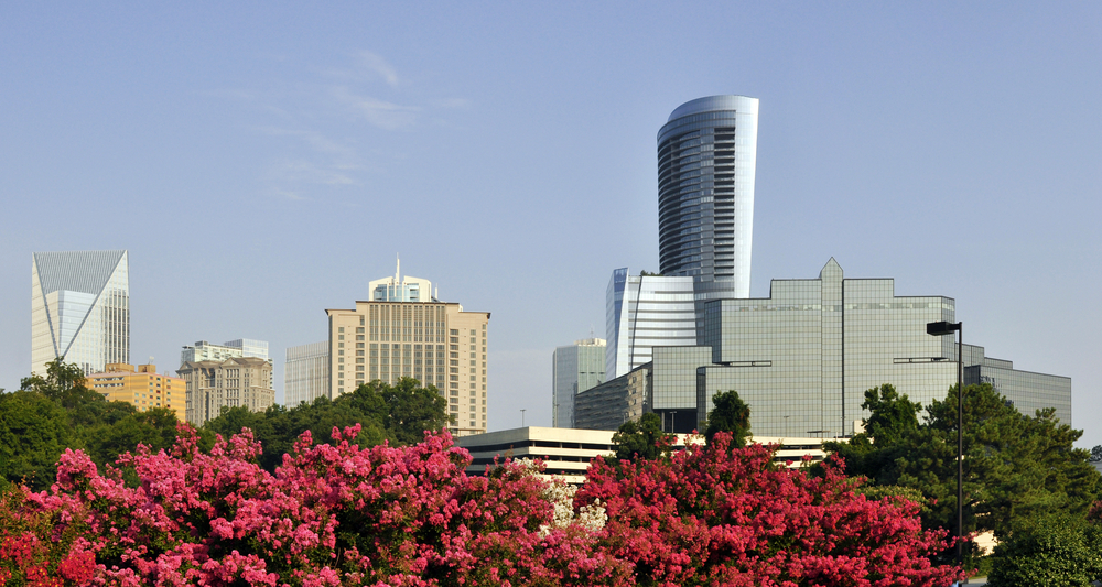 Coming Soon: Buckhead – Atlanta, GA - Discovery Map
